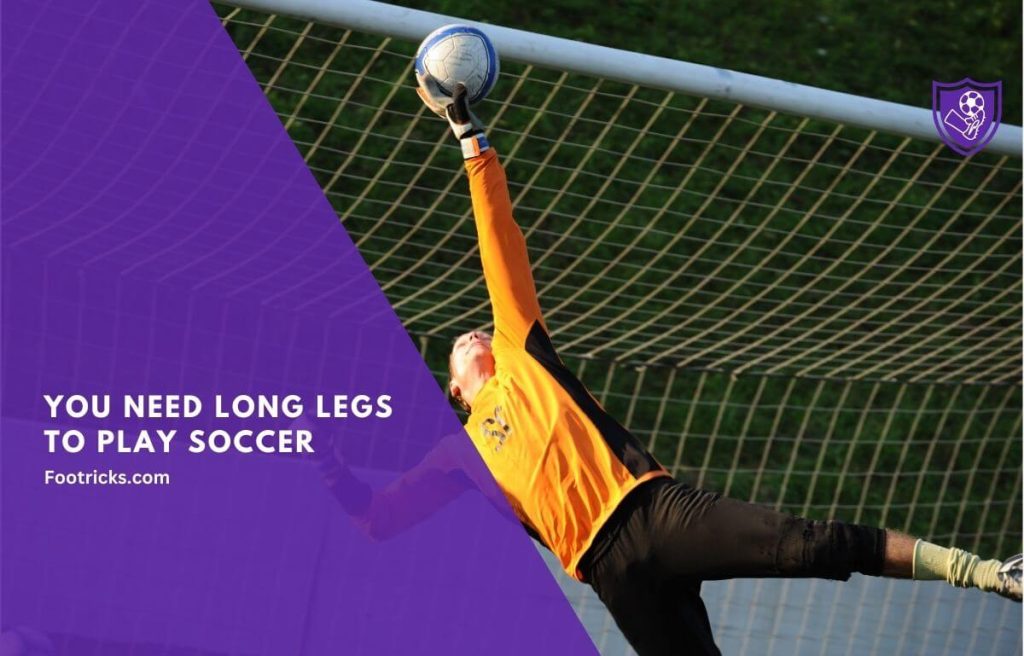 Types of Kicks in Soccer: 8 Professional Kicks